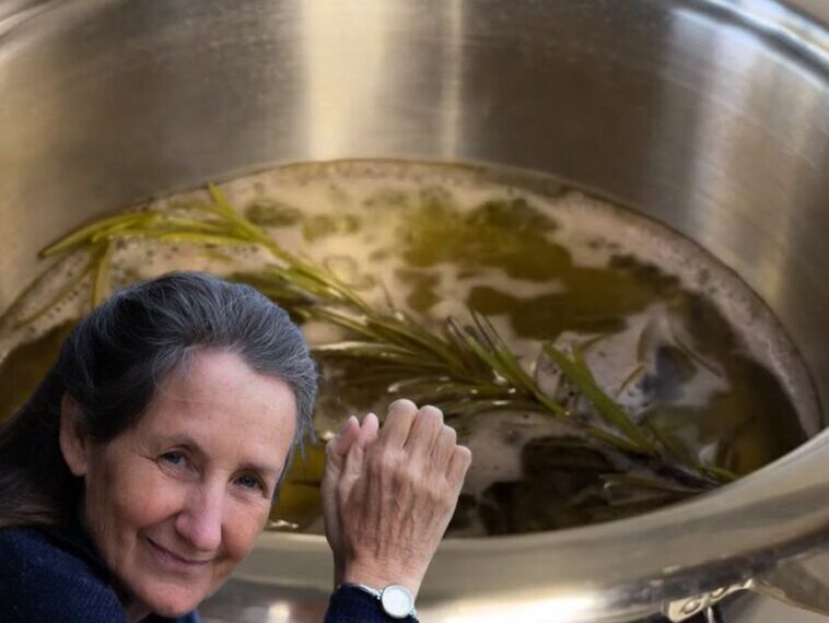 Unleash the Aromatic Magic of Rosemary in Your Home - Fakake – Home ...