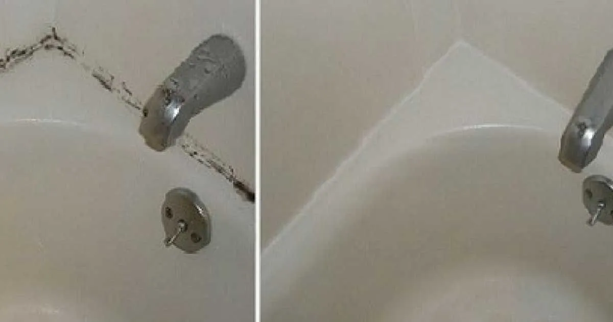 6+ super helpful tips to help combat bathroom mold - Fakake – Home ...