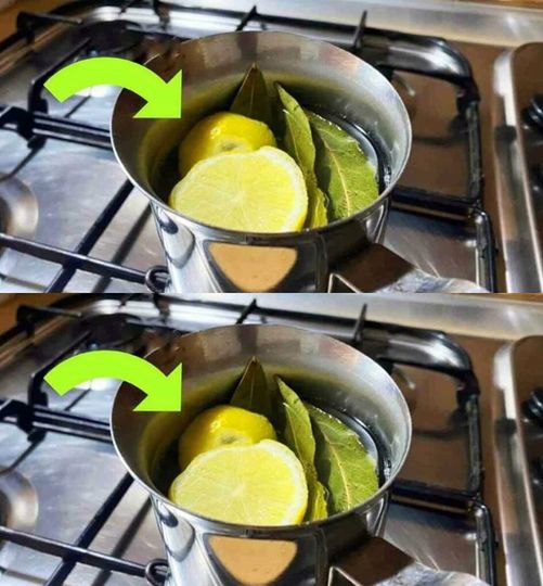 Boil Lemon and Bay Leaves: You Won’t Believe the Incredible Benefits ...